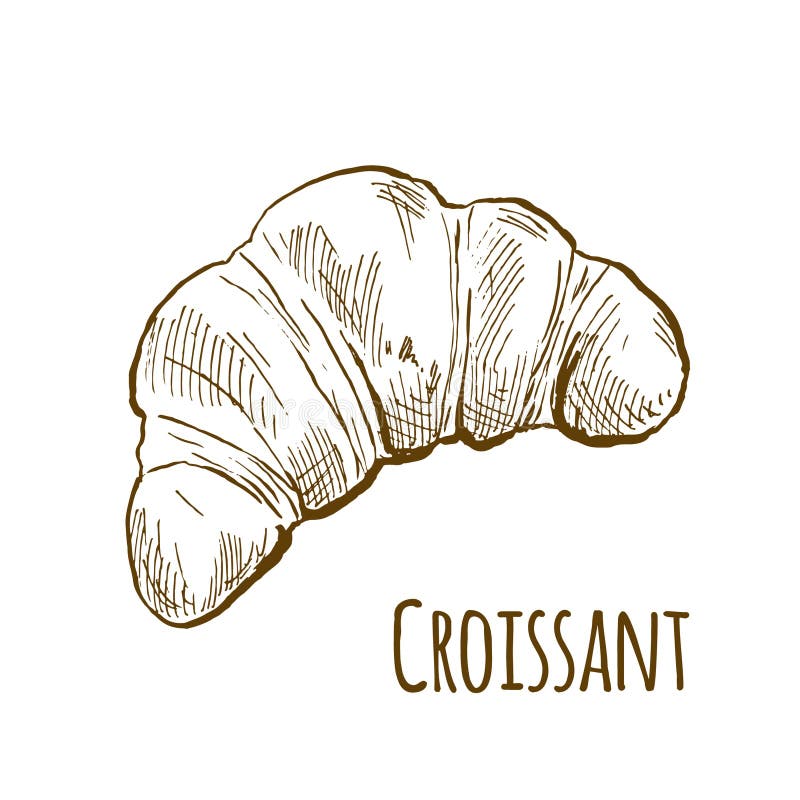Set of Croissant Vector Hand Drawn. Croissant Illustration. French ...