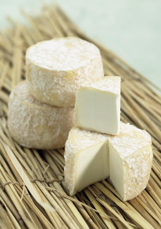 French Crottin Goat Cheese stock photo. Image of food - 196849496