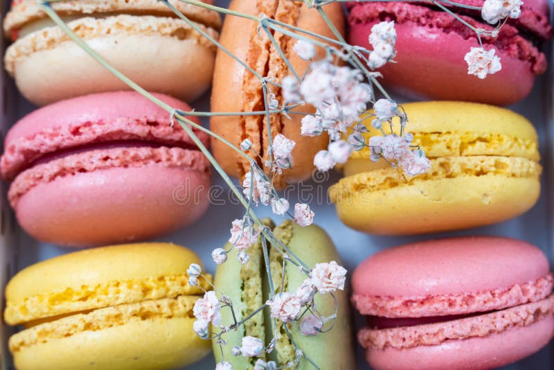 French Dessert Macarons of Different Colours and Dry Flowers on a White ...