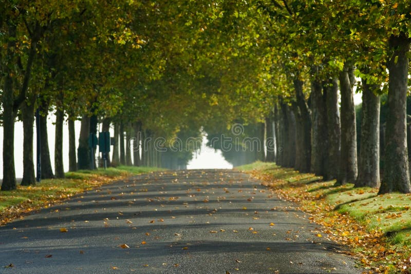 French Fall Country Lane Picture. Image: 3425232