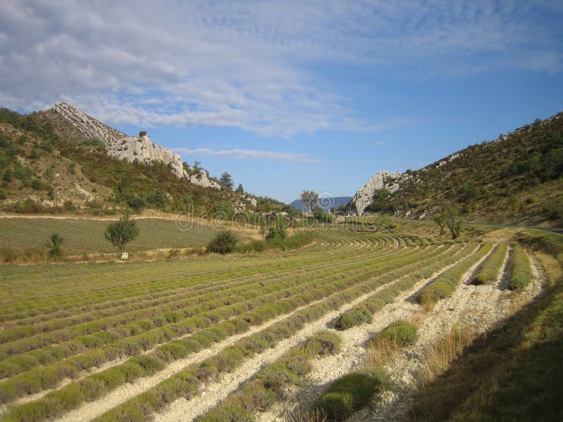 French Farmland stock photo. Image of countryside, azur - 4123990