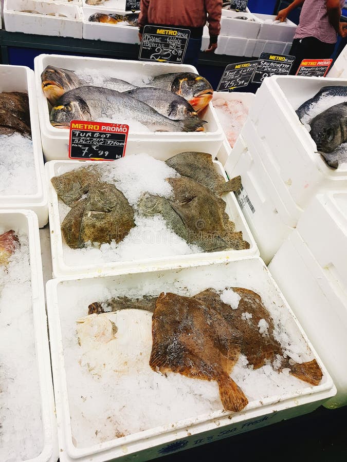 Fish market Paris stock photo. Image of fresh, market - 141129434