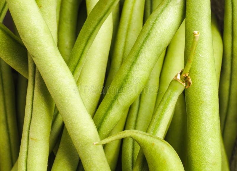 French Green Beans, Haricots Verts Stock Image - Image of string ...