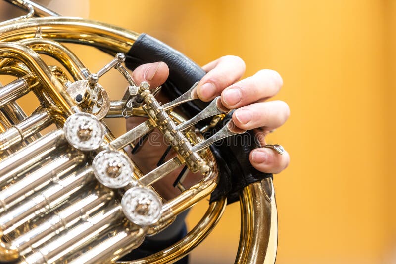 French Horn Instrument, Hands Playing Horn Player in Philharmonic ...