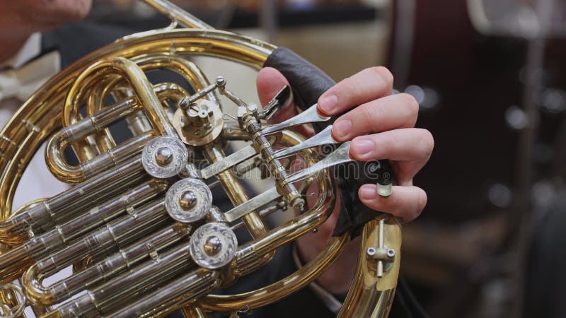 French Horn Instrument, Hands Playing Horn Player in Philharmonic ...