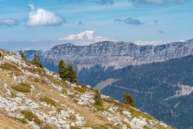 French Landscape - Chartreuse Stock Image - Image of french, beautiful ...
