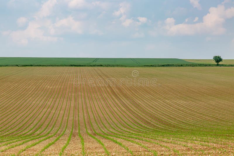 French Landscape stock image. Image of outdoors, blue - 123680873