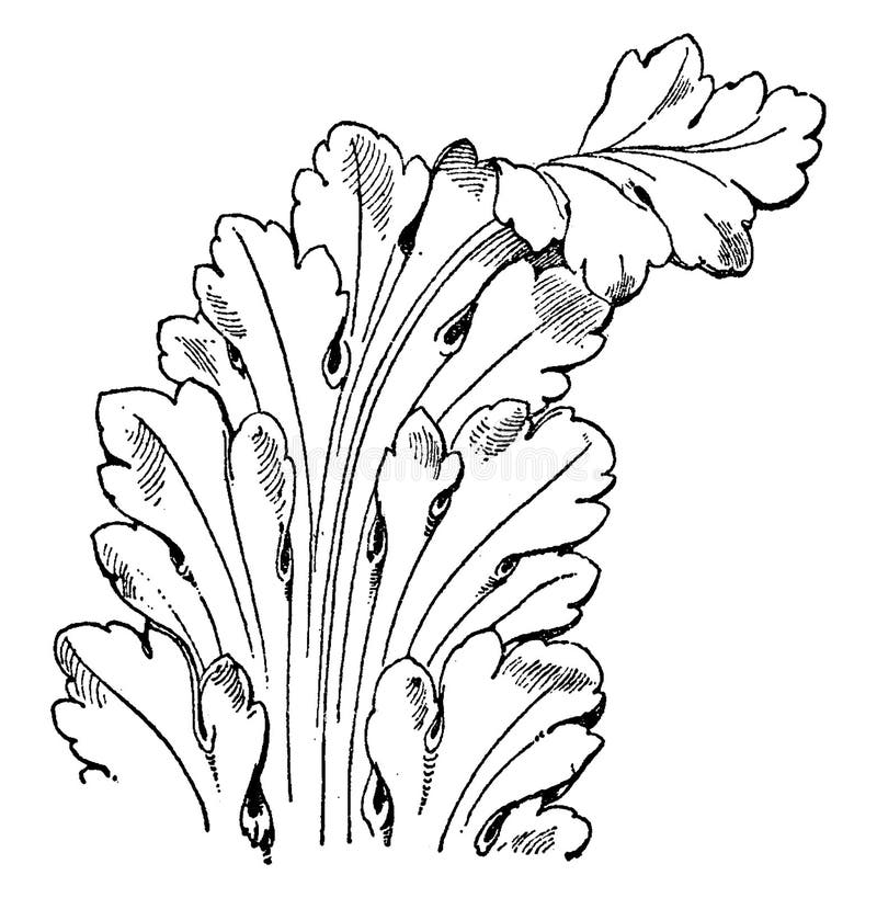 French Leaf Renaissance Design Tend To Look More Formal, Vintage ...
