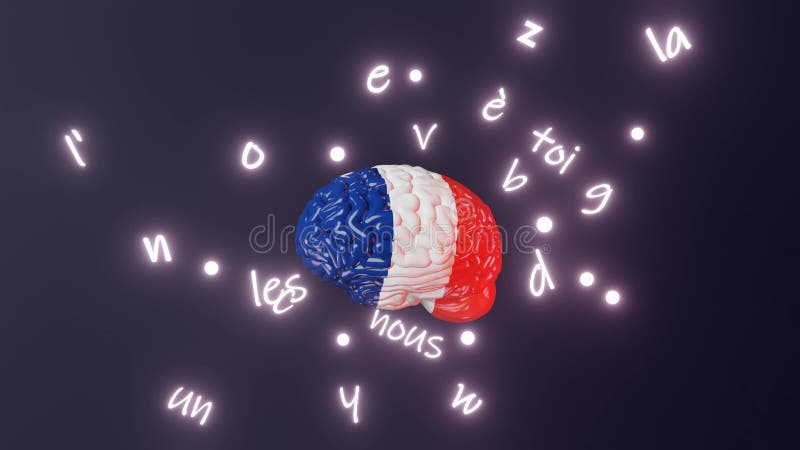 French Learning Foreign Language Fluency Improvement Human Brain ...