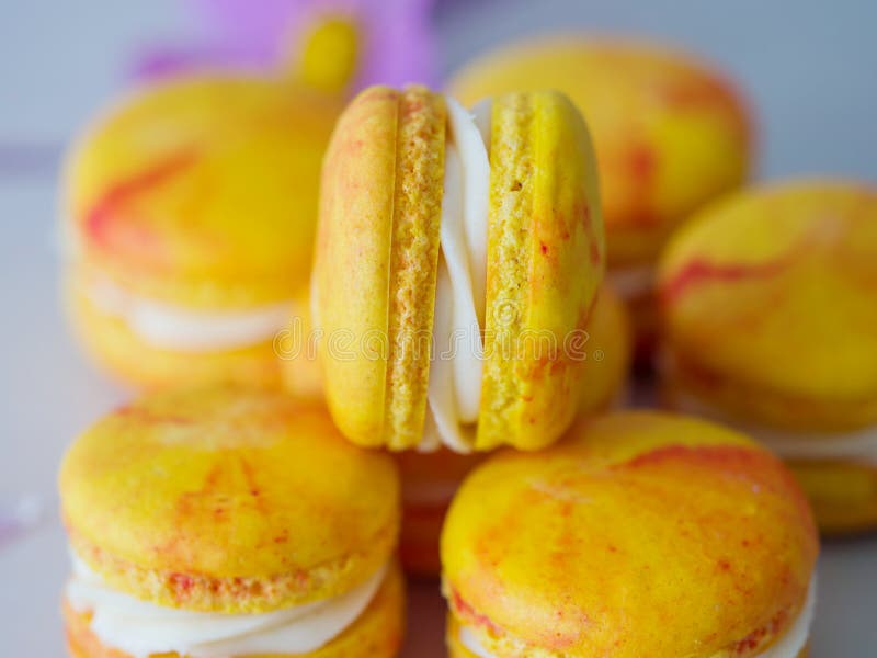 French Macaroni Cookies Isolated on White. Panorama. Stock Photo ...