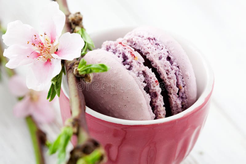 French macaroons stock image. Image of gourmet, delicious - 29938905