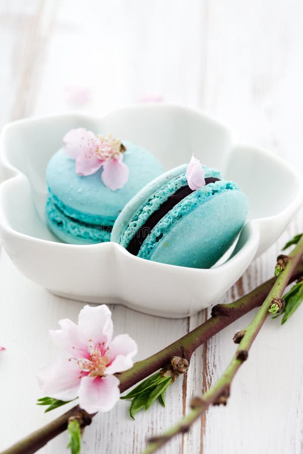 French macaroons stock photo. Image of cookies, blossom - 29823726