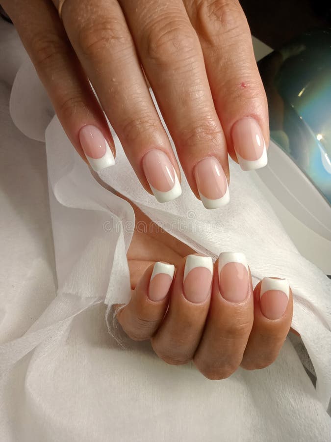 French Manicure, Gel Nail Polish Stock Image - Image of limb, skin ...
