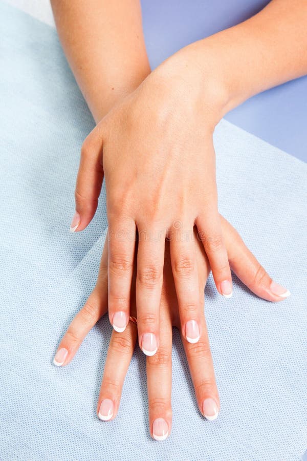 French manicure on hands stock photo. Image of glamour - 26147078