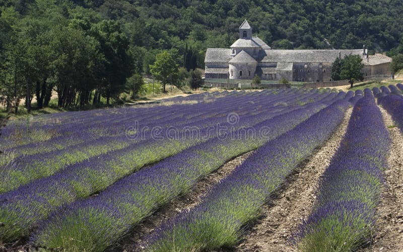 French Monastery and Fields of Lavender Stock Image - Image of notre ...