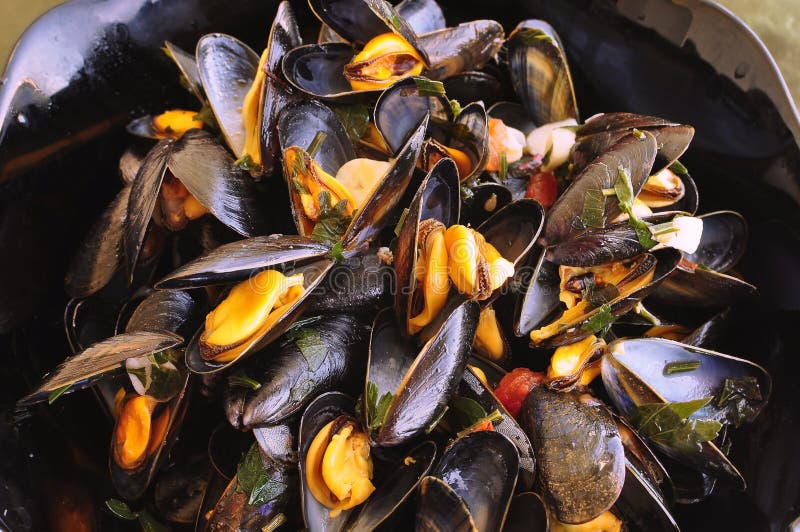Mussels and french fries stock image. Image of food, close - 62747521