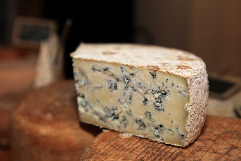 French musty cheese stock photo. Image of round, france - 19616858