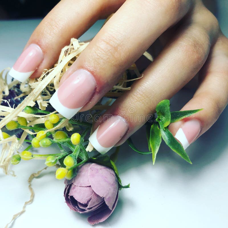 French nails stock image. Image of french, design, nails - 260990601