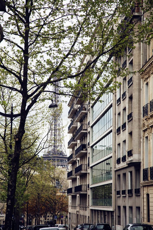 French Paris Street with Eiffel Tower in Perspective Trought Trees ...
