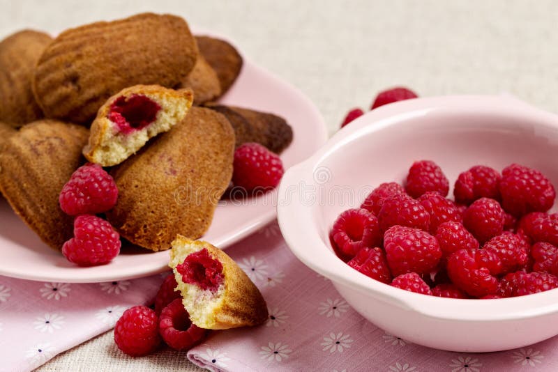 French Pastry Madeleine with Raspberries. Stock Photo - Image of cookie ...