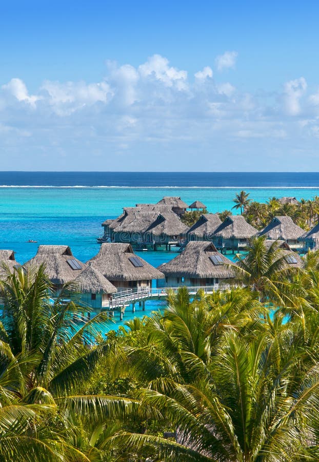 French Polynesia. Over Water Bungalows and Palm Trees Stock Photo ...