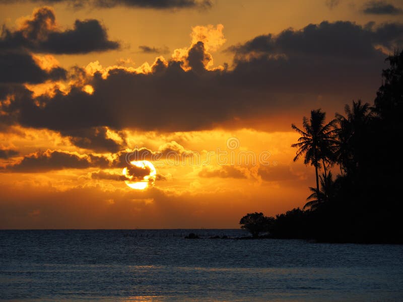 French Polynesia - Rangiroa: Sunset with Palm Stock Image - Image of ...