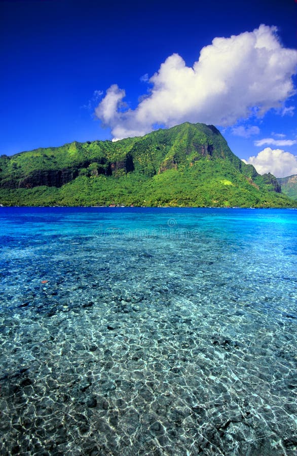 French Polynesia Tropical Scenery Stock Photo - Image of pretty ...