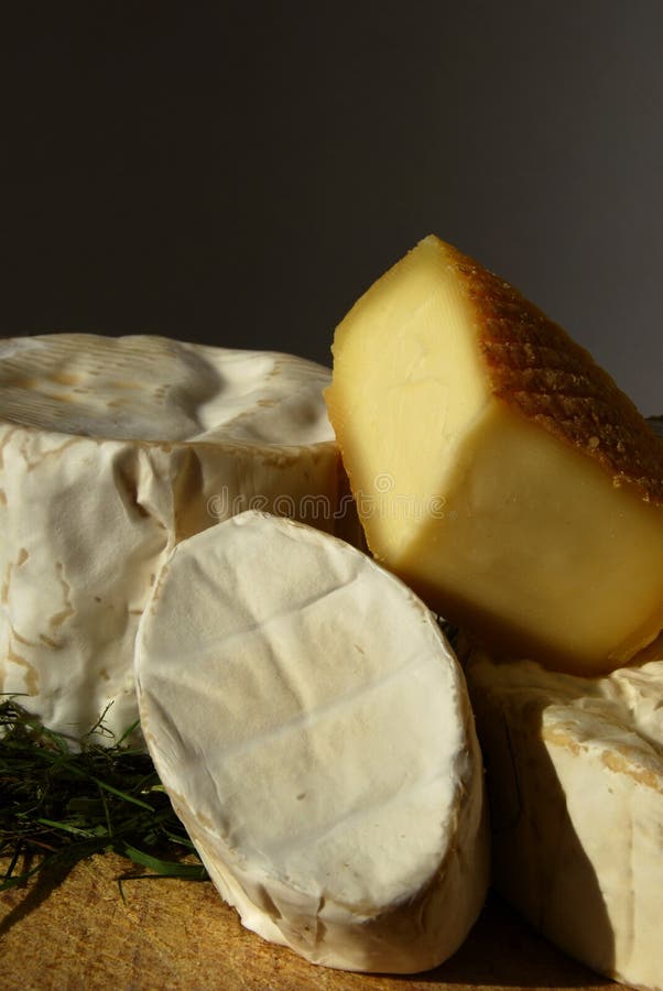 French Rind Cheese Selection Stock Photo - Image of crottin ...