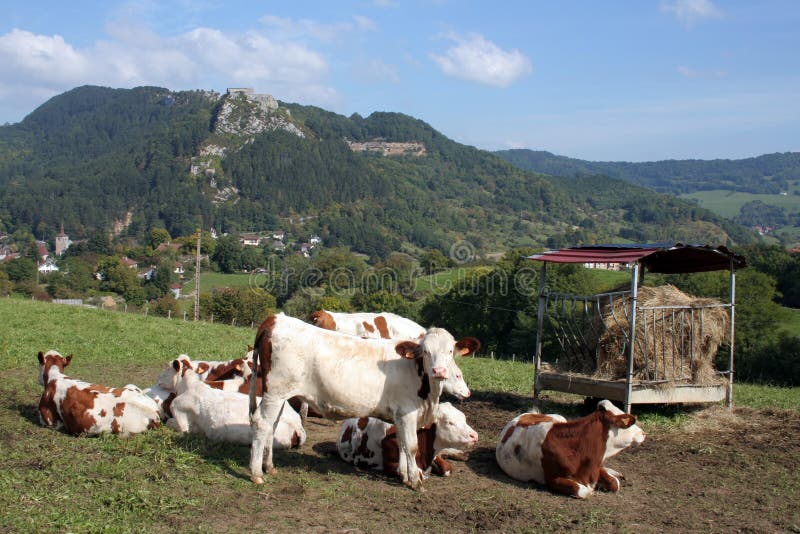 French rural landscape stock photo. Image of moutain, green - 7852140