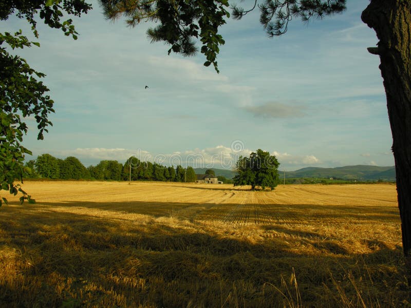 FRENCH SCENE stock photo. Image of countryside, scene - 44374464