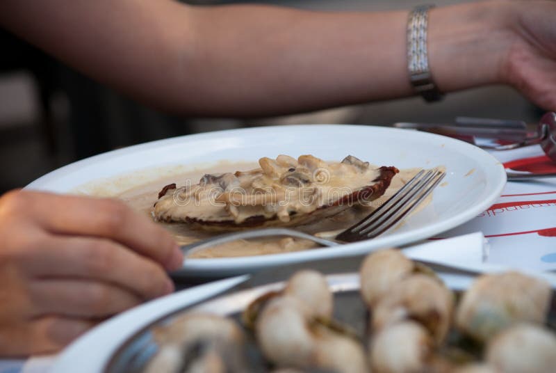 French snail dinner stock photo. Image of macro, baked - 10082102
