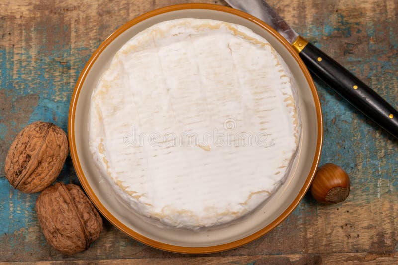 Cheese Collection, French Fresh White Soft Goat Cheese Stock Photo ...