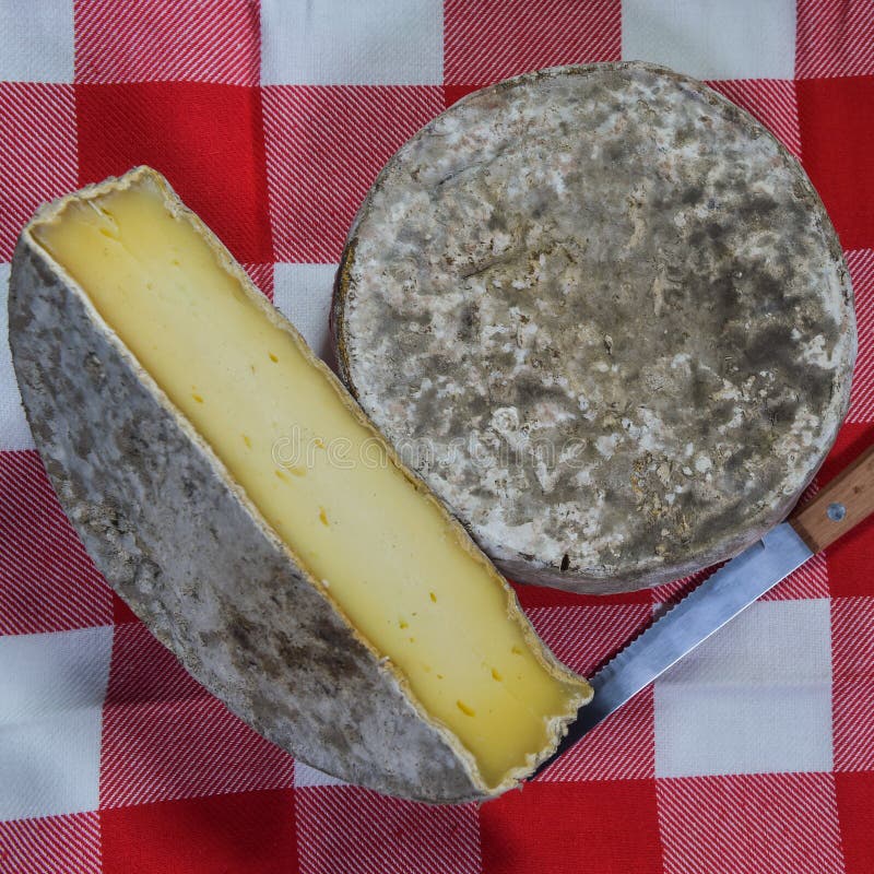 French Tomme Cheese for Sale on a Market Stall Stock Image - Image of ...