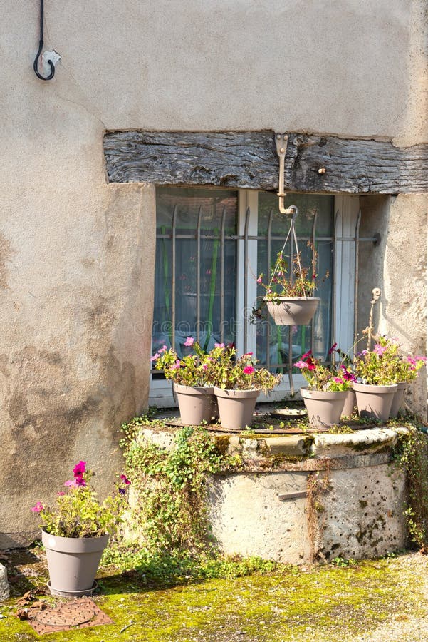 French Window with Plants and Flowers Stock Image - Image of romantic ...