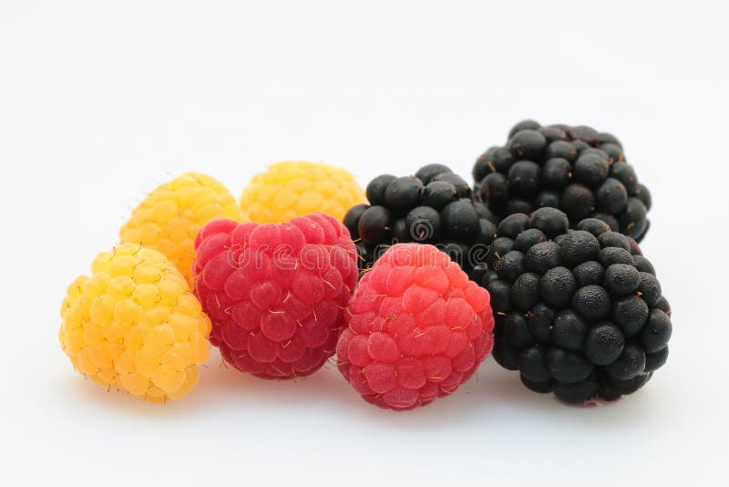 Fres berries multi colored stock image. Image of berry - 78734927
