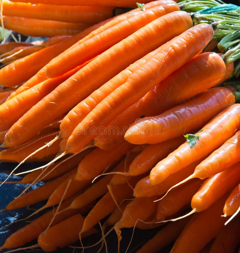 Fres carrots stock photo. Image of food, fres, vegetables - 29189706
