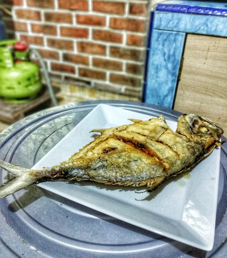 A Fresh Fish from the Sea . Stock Photo - Image of fresh, fres: 146637082