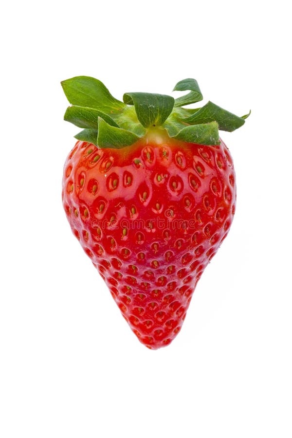 812 Fresa Real Fotos de stock - Fotos libres de regalías de Dreamstime