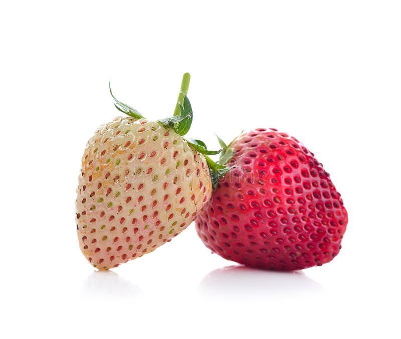 Fresa Aislada En Fondo Blanco Imagen de archivo - Imagen de alimento ...