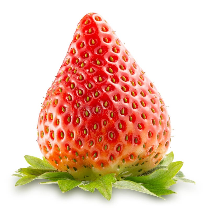 Fresa Aislada Sobre Fondo Blanco Imagen de archivo - Imagen de maduro ...