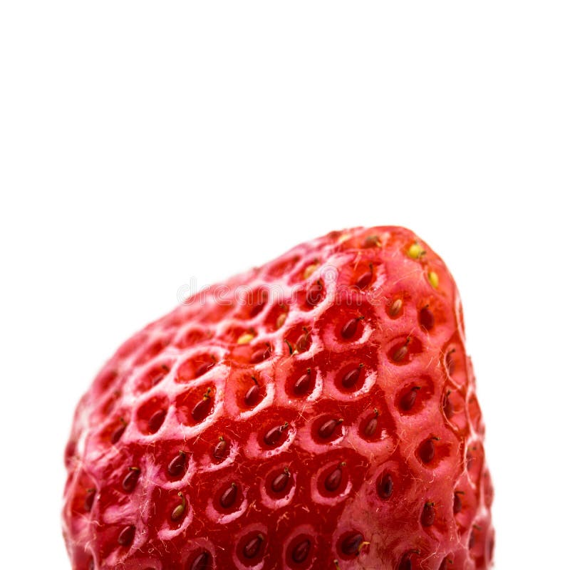 Fresa con fondo blanco foto de archivo. Imagen de hermoso - 157270918