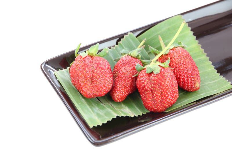 Las Cuatro Frutas Grandes De La Fresa En La Rama En Fresa Cultivan ...