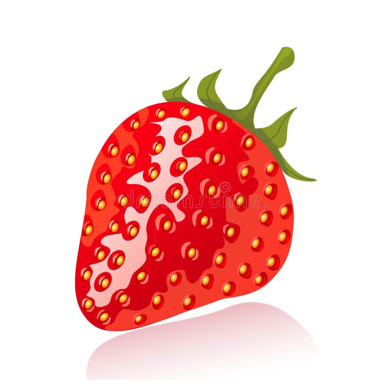 Fresa del vector ilustración del vector. Ilustración de sabroso - 14823586