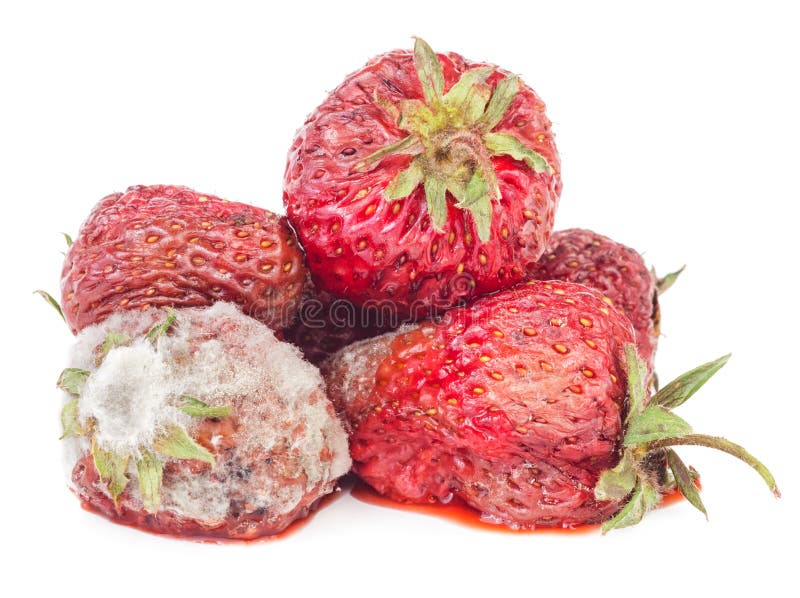 La Putrefacción De La Fresa, Fruta Putrefacta, Da Fruto Fruta Mohosa ...