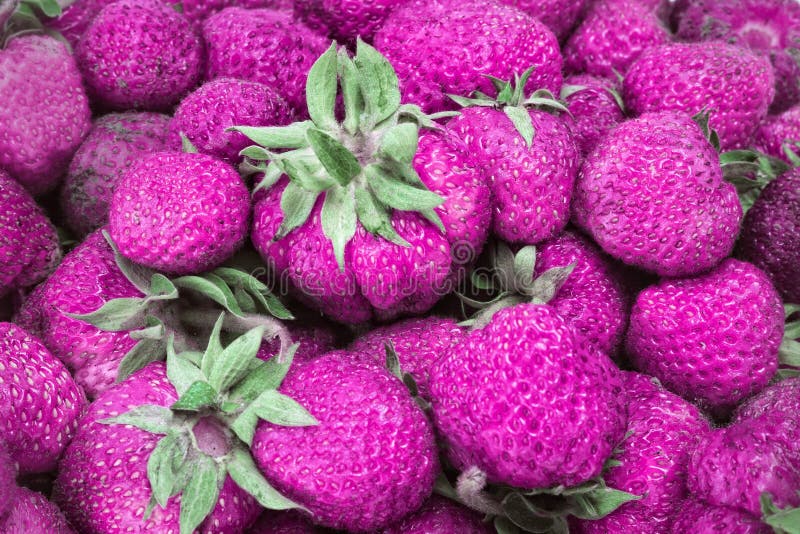 Fresa rosada imagen de archivo. Imagen de suciedad, baya - 19716533