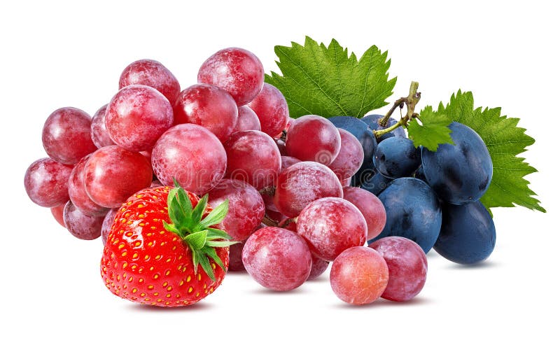 Fresa, uvas y menta imagen de archivo. Imagen de planta - 14996753