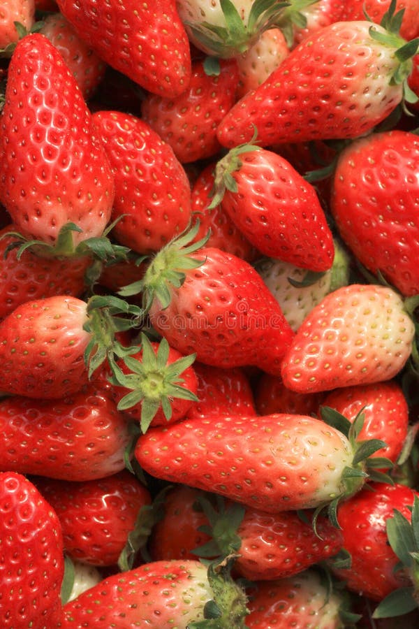 5 fresas imagen de archivo. Imagen de fibra, fruta, sucrosa - 13229005