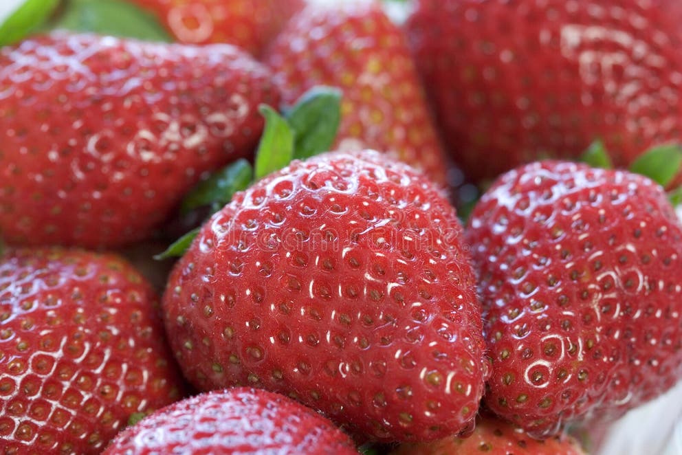 Fresas foto de archivo. Imagen de sano, dieta, cubo, bayas - 513336