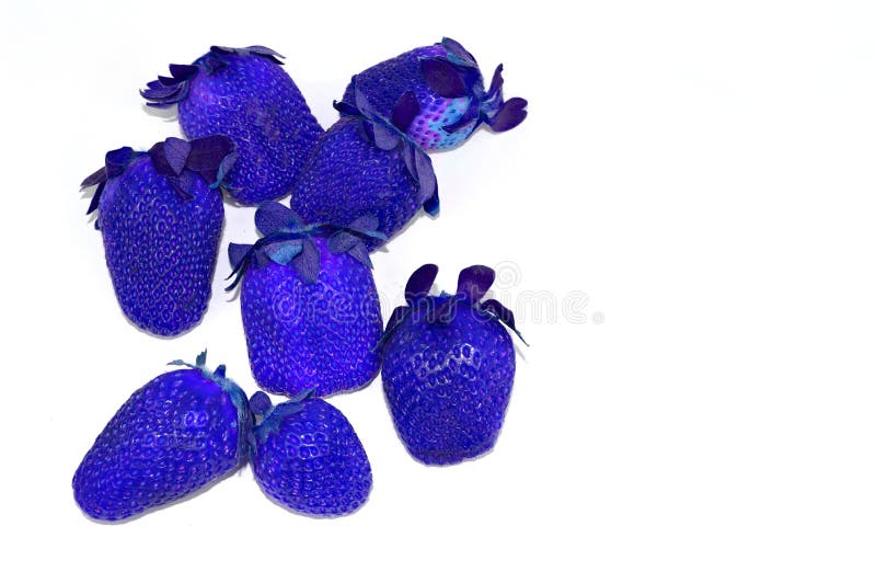 Fresas Azules Aisladas En Un Fondo Blanco Foto de archivo - Imagen de ...