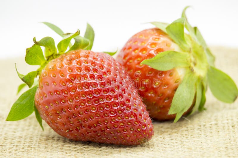 Fresas rojas imagen de archivo. Imagen de vegetariano - 100736645